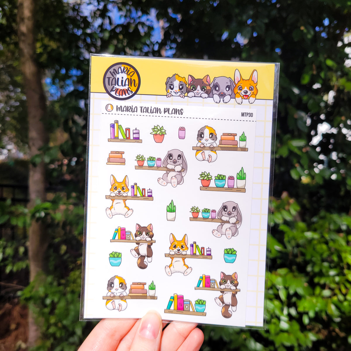 Shelves | Vinyl Character Sticker Sheet – Mariatalianplans